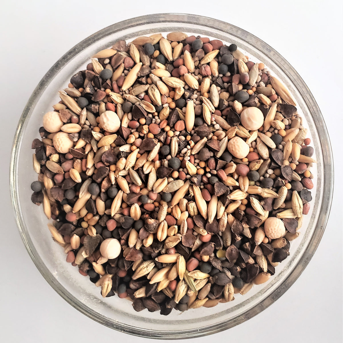 Cover Crop Seeds – The Soil Makers