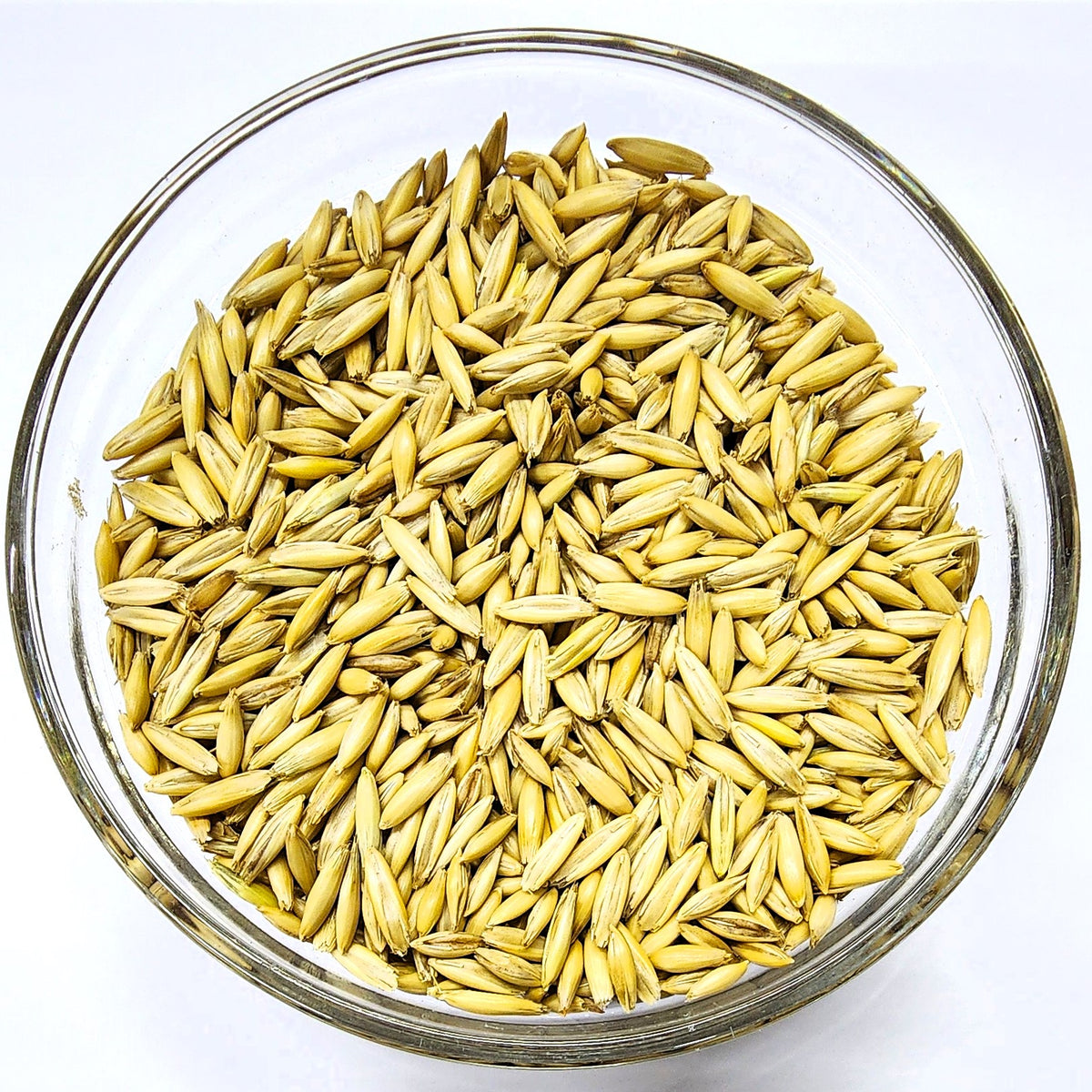 Spring Oats OG – The Soil Makers