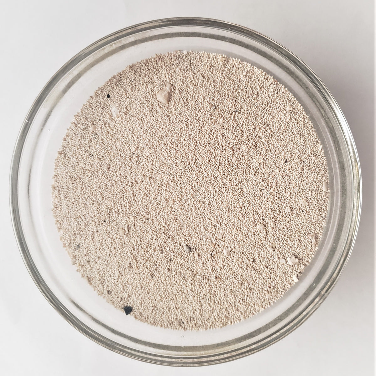 Aragonite/Oyster Shell Flour – The Soil Makers
