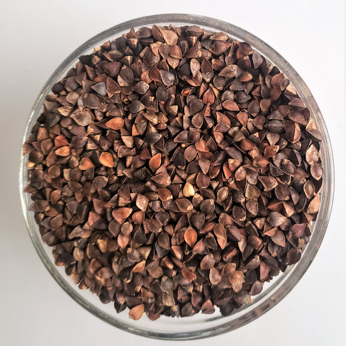 Buckwheat seeds OG – The Soil Makers